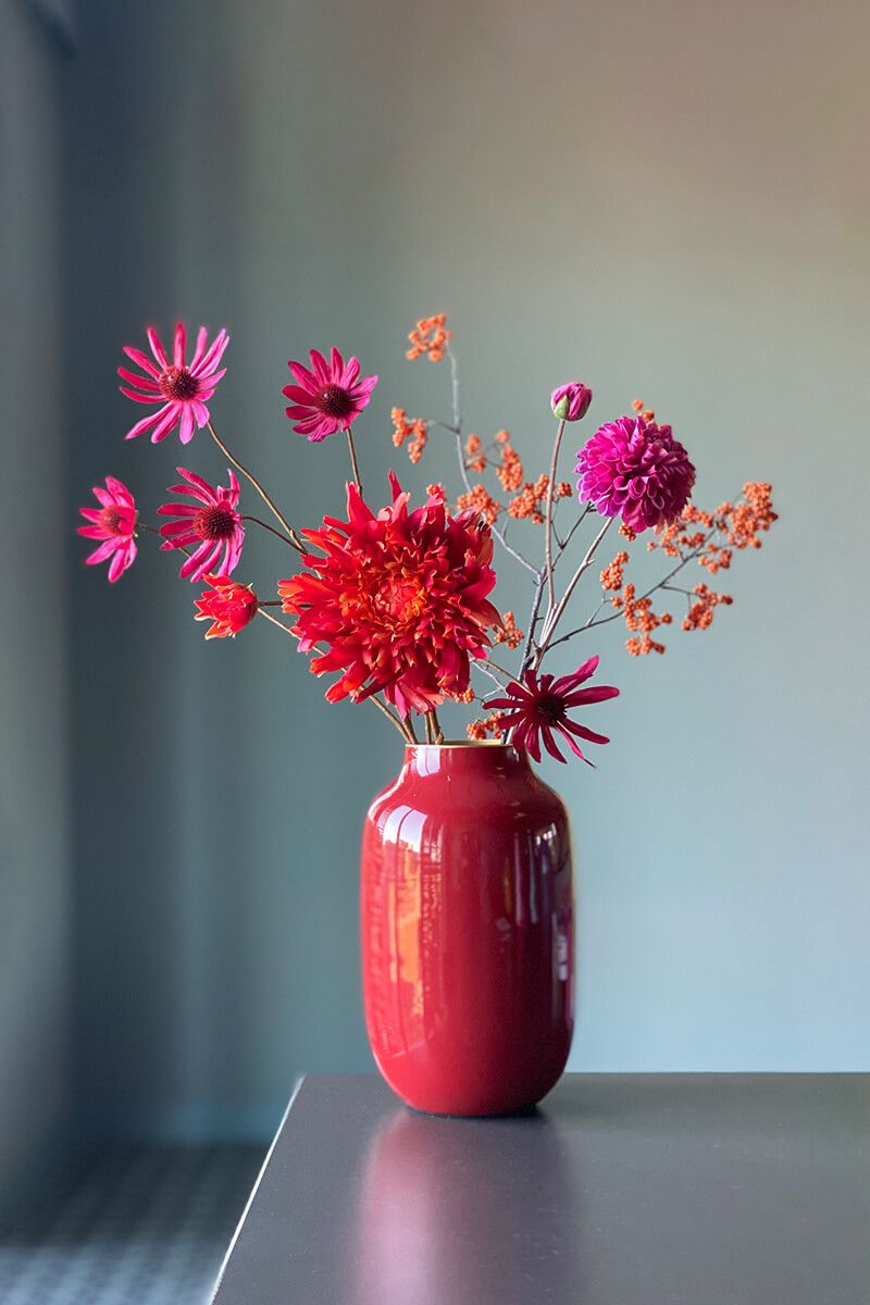 NEW | Pip Studio the Official website